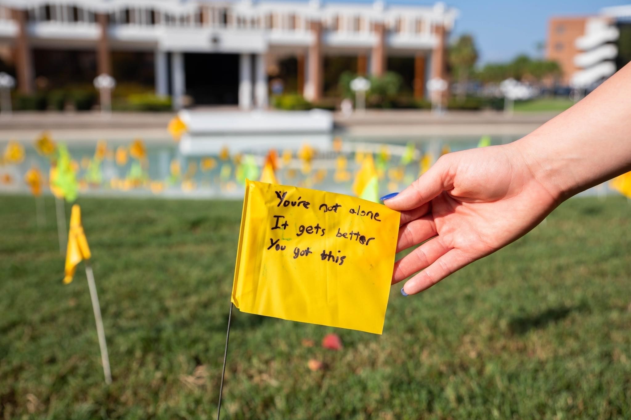 Field of Memories: Be Aware, Show You Care • Counseling and ...
