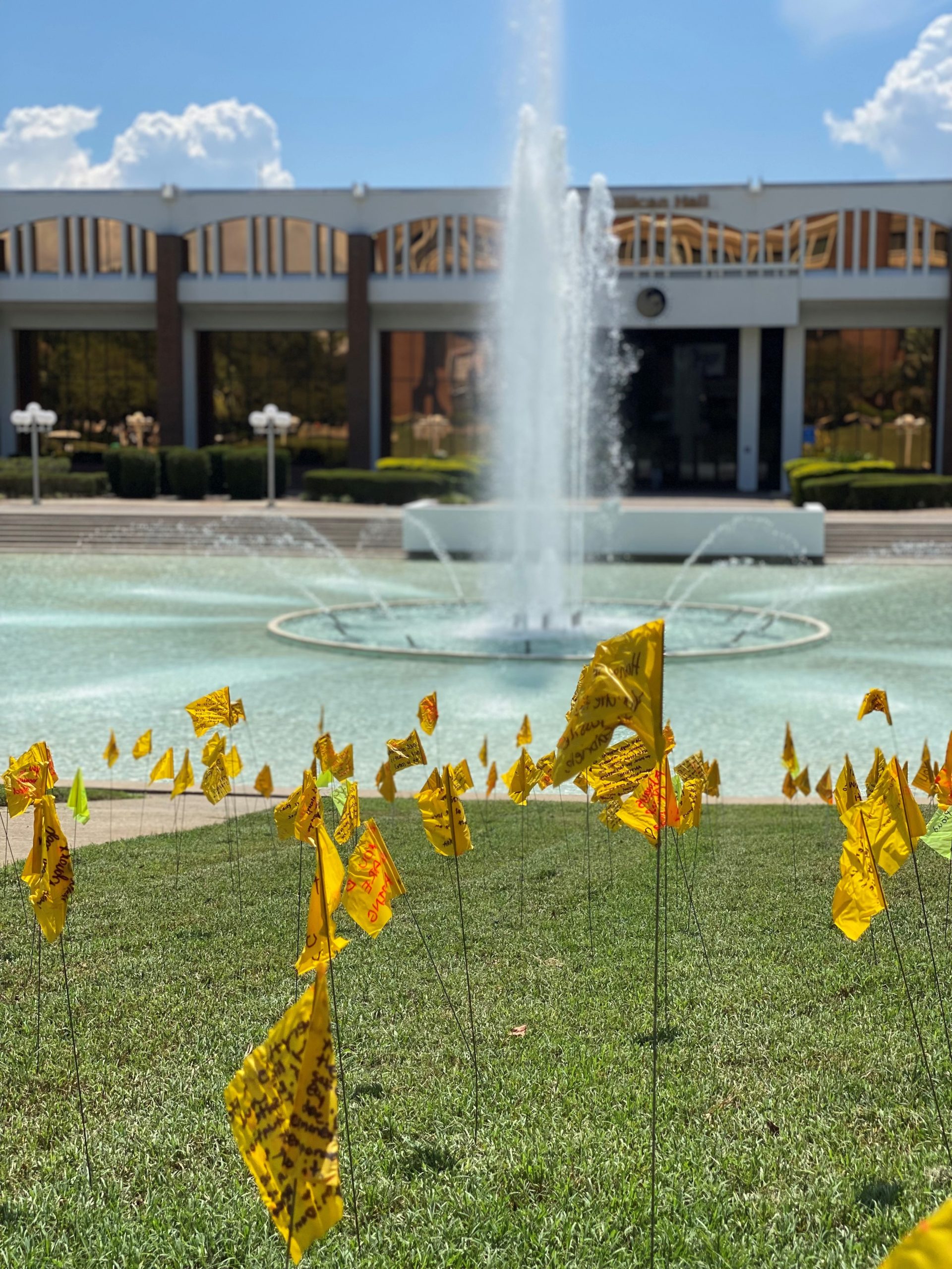 Field of Memories: Be Aware, Show You Care • Counseling and ...